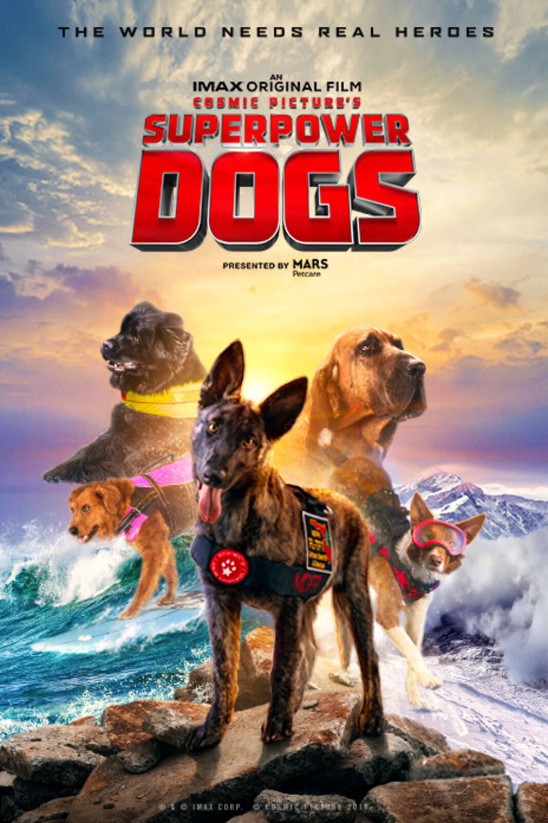 Film Superpower Dogs - Cineman