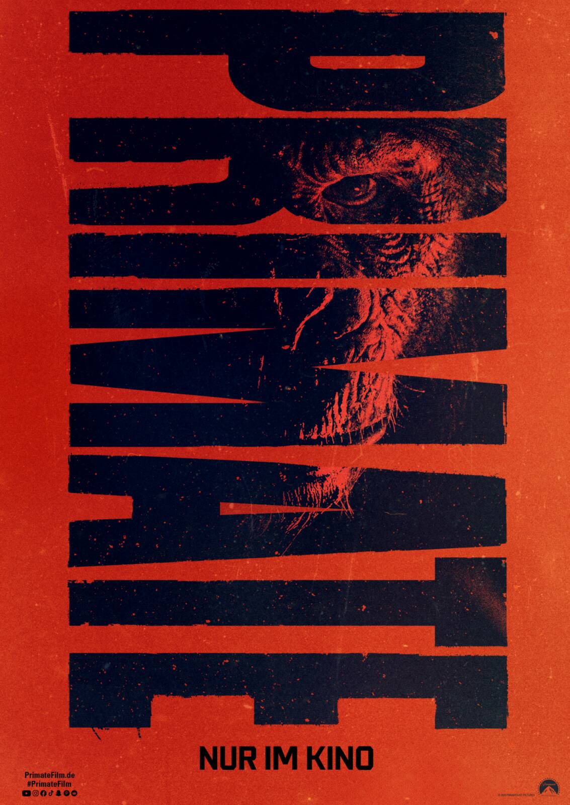 Film Primate - Cineman