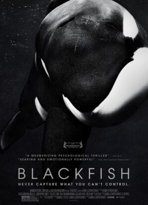 Film Blackfish – Cineman Streaming Guide