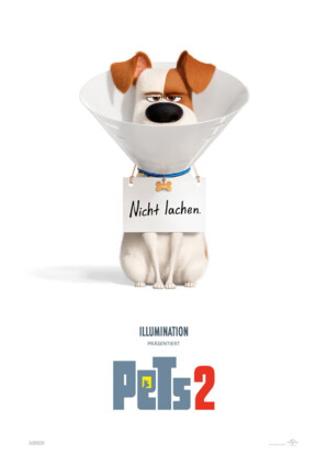 Movie The Secret Life of Pets 2 – Cineman Streaming Guide