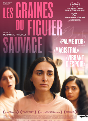Film Les Graines du figuier sauvage - Cineman