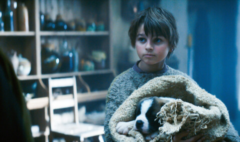 Séances - La hija cóndor - Cineman