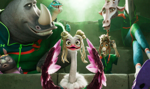 Kinoprogramm - Sentimental Value - Cineman