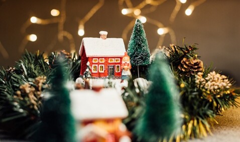 Kinoprogramm - Flow - Cineman