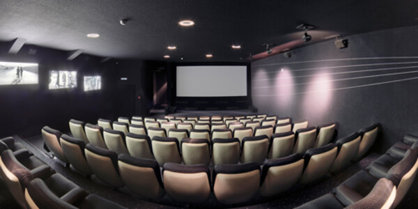 Vevey - cinéma Rex - Séances - Cineman