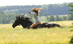 Movie Rating - Ostwind - Cineman