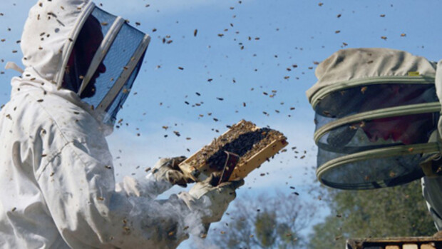 Blog Archives - Nectur